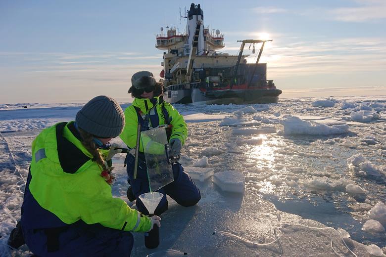 Arctic viruses in the surface microlayer help their hosts to survive ...