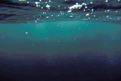 Bacteria resisting viral infection can still sink carbon to ocean floor ...