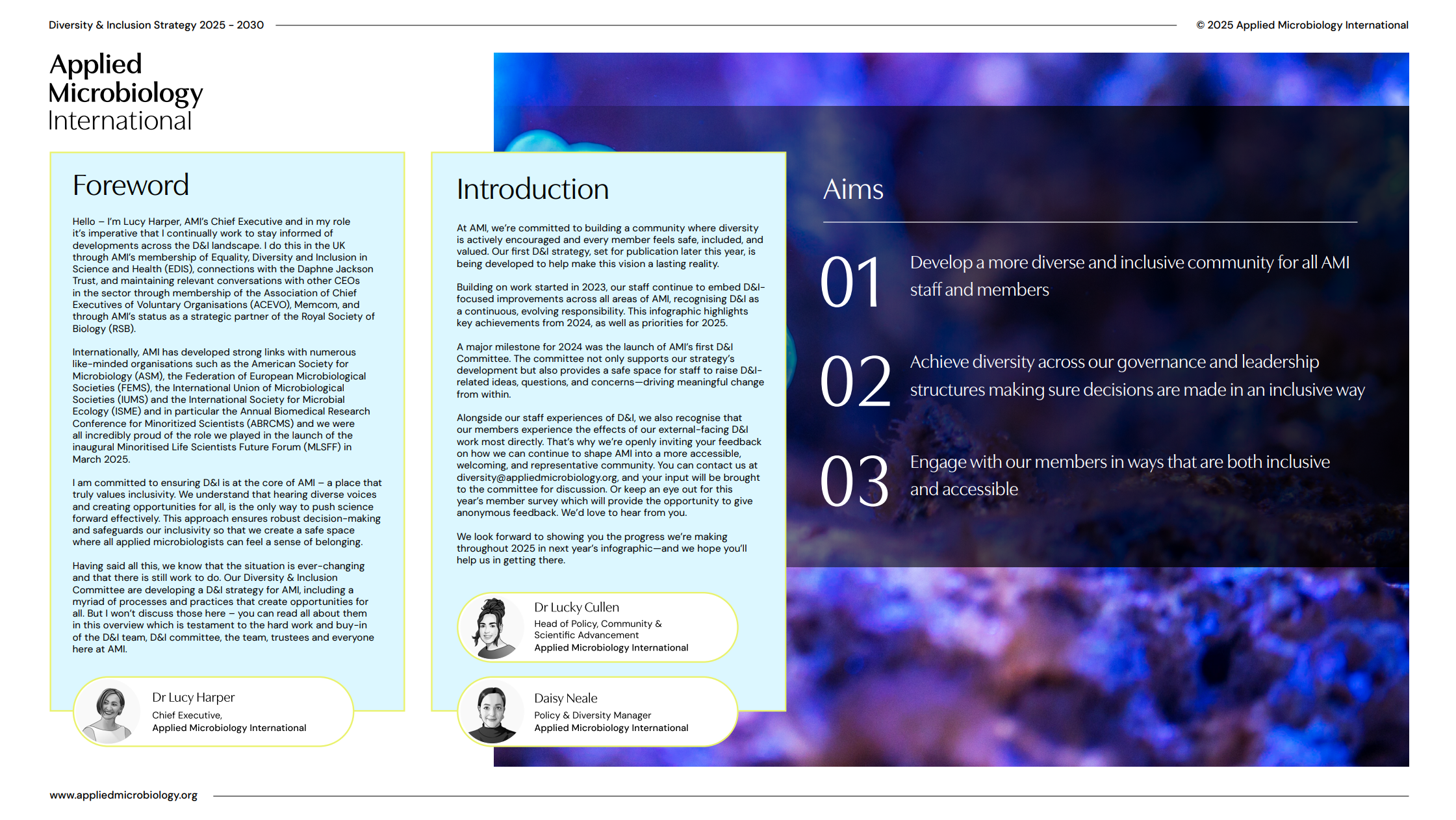 D&I Infographic 2024/25 | AMI