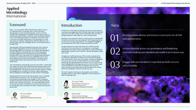 D&I Infographic 2024/25 | AMI