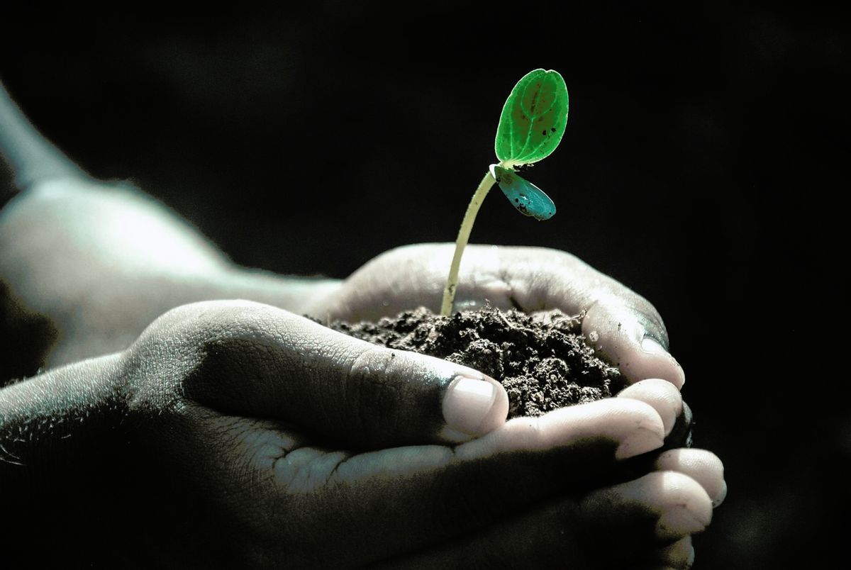 NEWS AMI teams up with QIAGEN to offer free guide for improving soil ...
