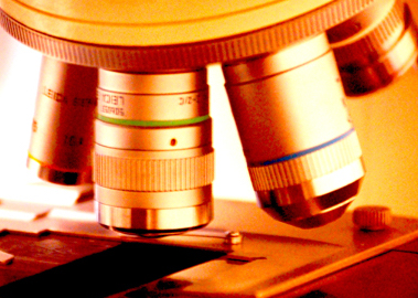 Social and Ethical Implications of Human Microbiome Research | AMI